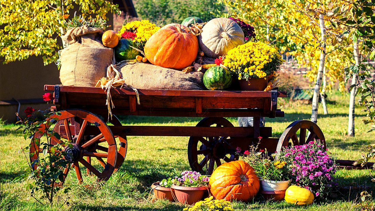 Garten Herbstfest Machen